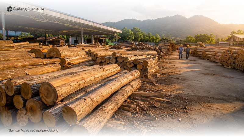 Blog - Daerah Penghasil Kayu Jati Terbaik di Indonesia dan Kenapa ...